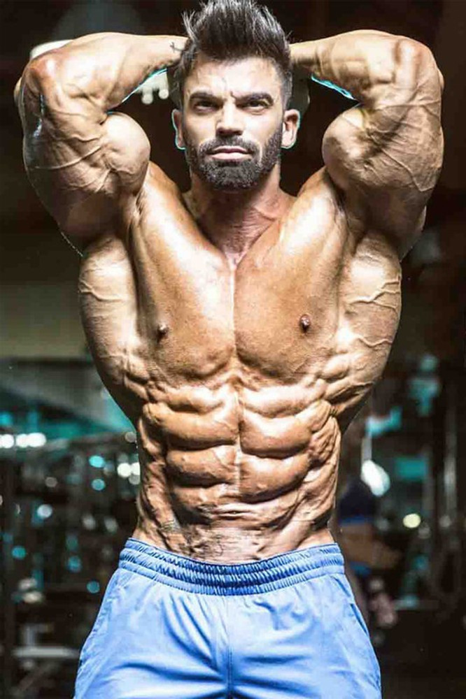 Bodybuilder Wallpaper Bodybuilding Celebrities Wallpapers