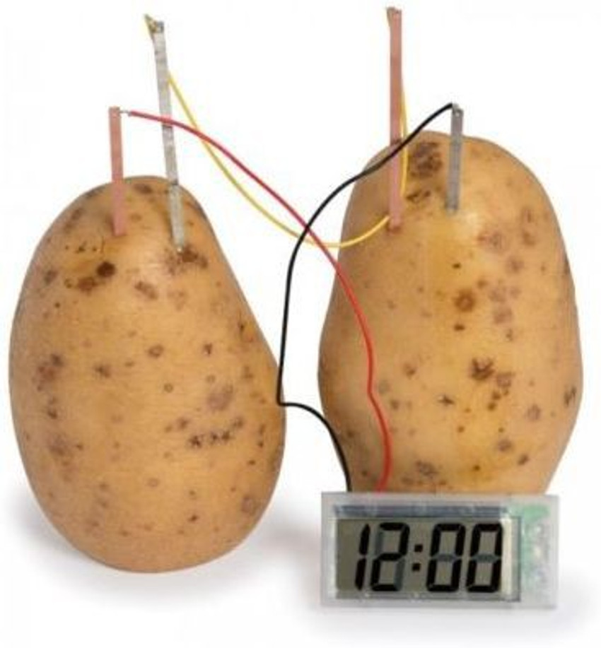 Green Science Potato Clock