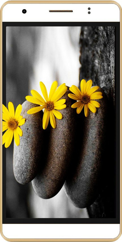 Intex Mobile Dream