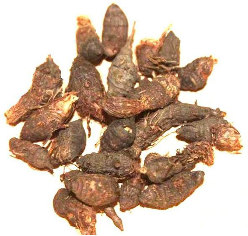 Cyperus Rotundus Root