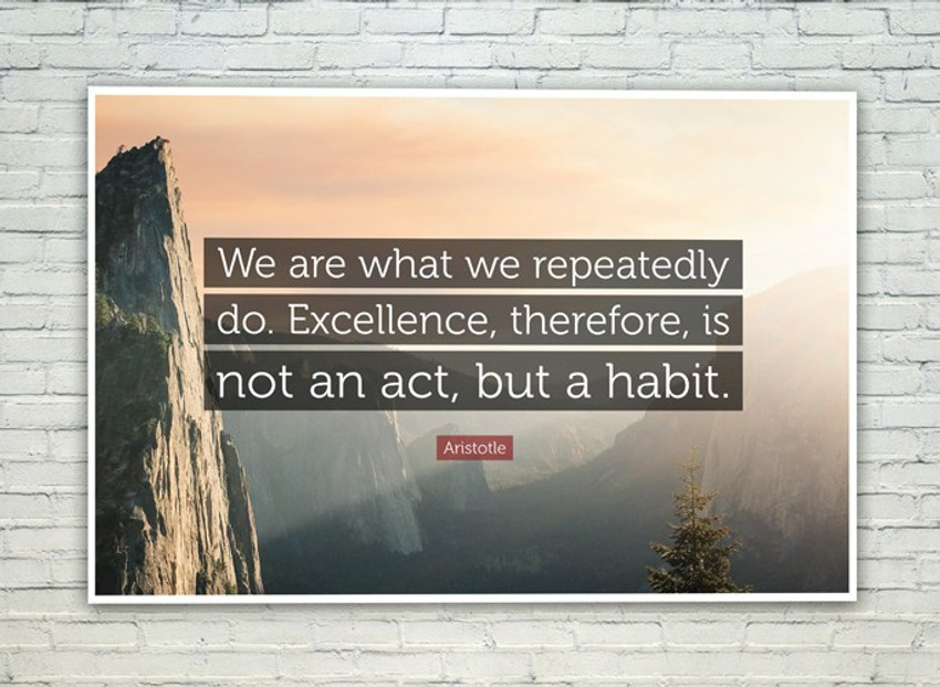 We Are What We Repeatedly Do Wallpaper