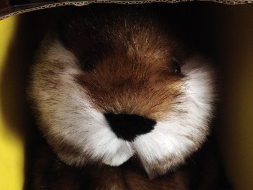 Caddyshack Gopher Dance