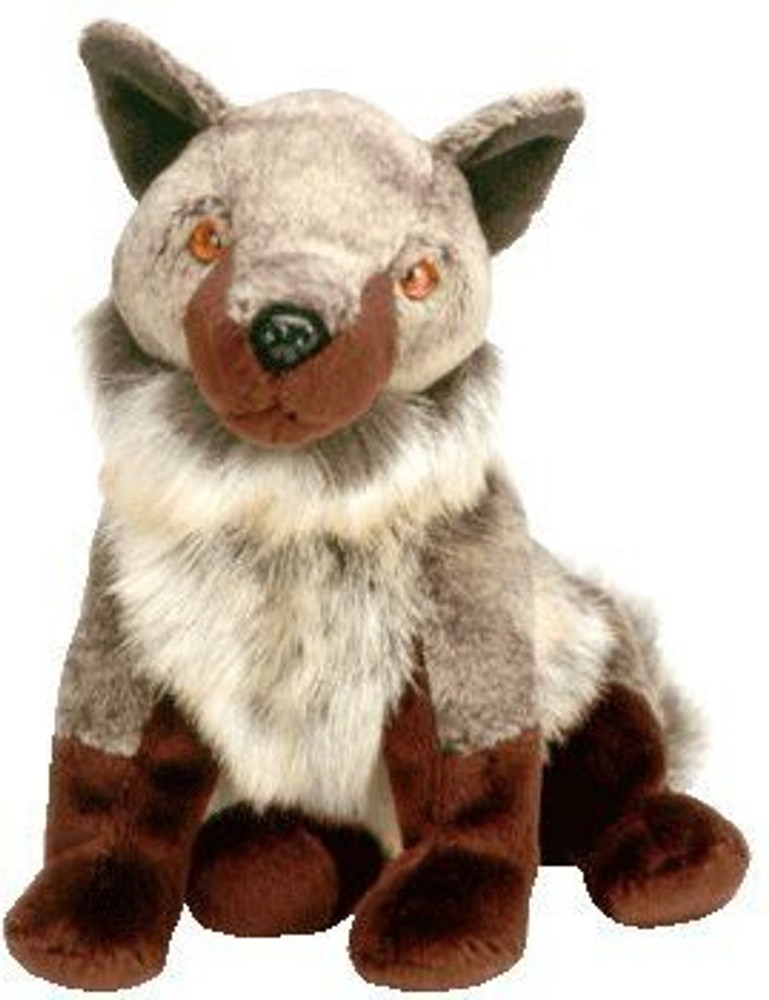 Ty beanie wolf store