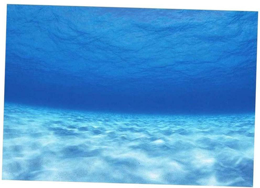 Fish Tank Background 3d