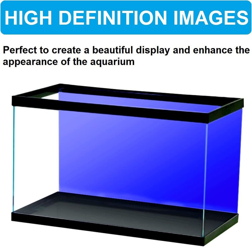 Empty Fish Tank Background