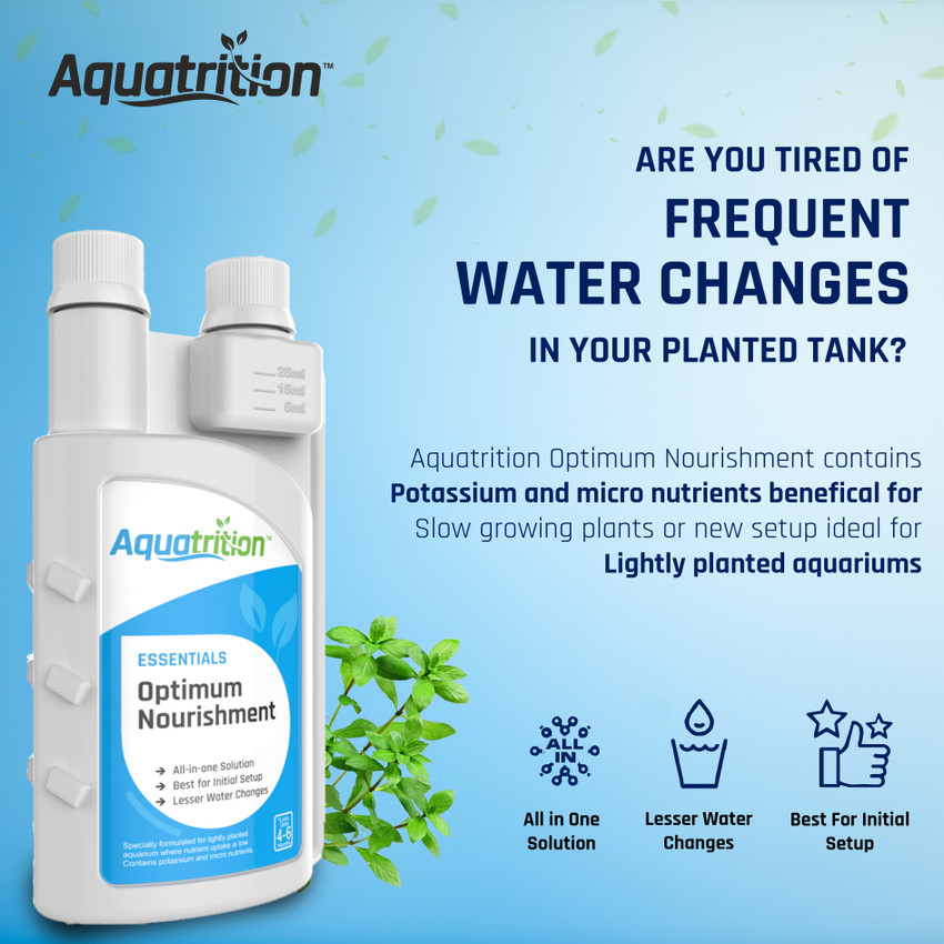 Best Aquarium Fertilizer How To Properly Feed Live Aquarium Plants In