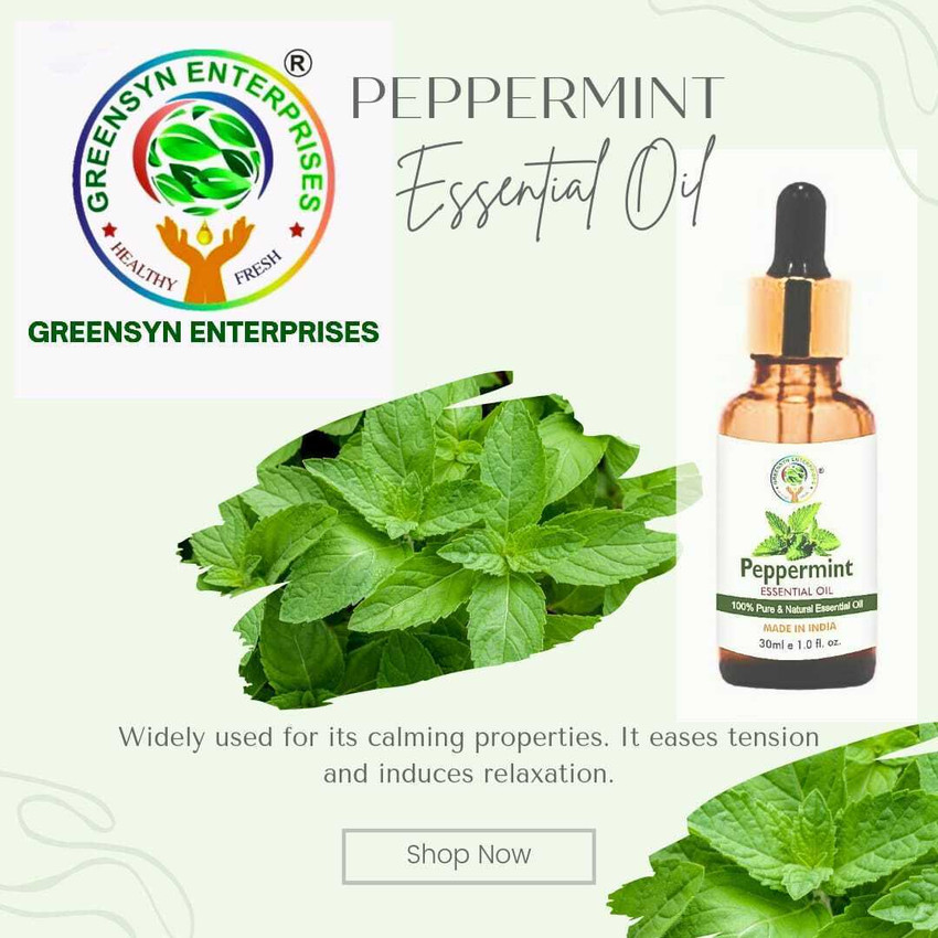Greensyn Enterprises Peppermint Natural Essential Oil Use for Cold Cough Price in India Buy Greensyn Enterprises Peppermint Natural Essential Oil Use for Cold Cough Online In India Reviews Ratings