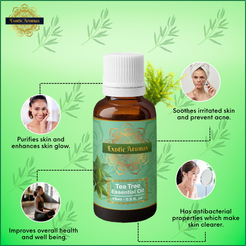Exotic Aromas Tea Tree Oil for Skin Hair Face Acne Care 100 Pure Natural Pack of 2 Price in India Buy Exotic Aromas Tea Tree Oil for Skin Hair Face