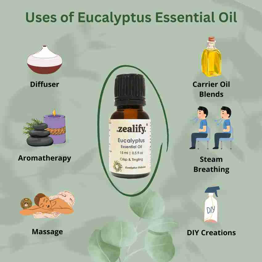 Zealify Eucalyptus Essential Oil for Hair Scalp Care Oral Care Aromatherapy Price in India Buy Zealify Eucalyptus Essential Oil for Hair Scalp Care Oral Care Aromatherapy Online In India