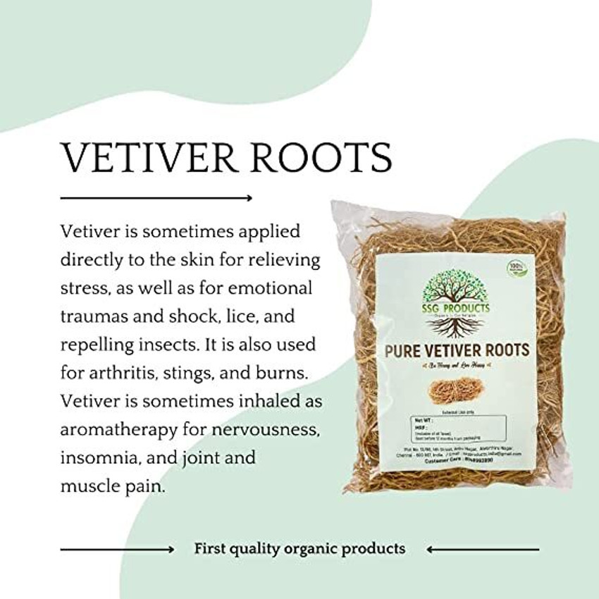 Vetiveria Zizanioides Benefits Vetiver Essential Oil: Benefits, Uses