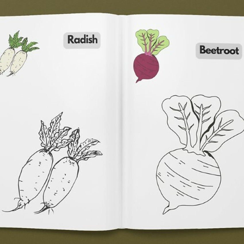 Radish Drawing For Kids
