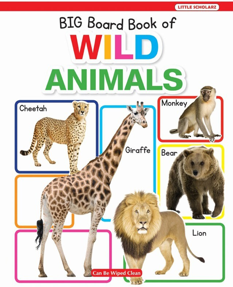 Pictures Of Wild Animals