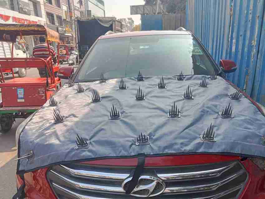 NETYLON Car cover protector to dog 60x42inch Cover Car Roof 48x28inch Covered car Bonnet Car Pet Door Protector Price in India Buy NETYLON Car cover protector to dog 60x42inch Cover Car Roof 48x28inch...