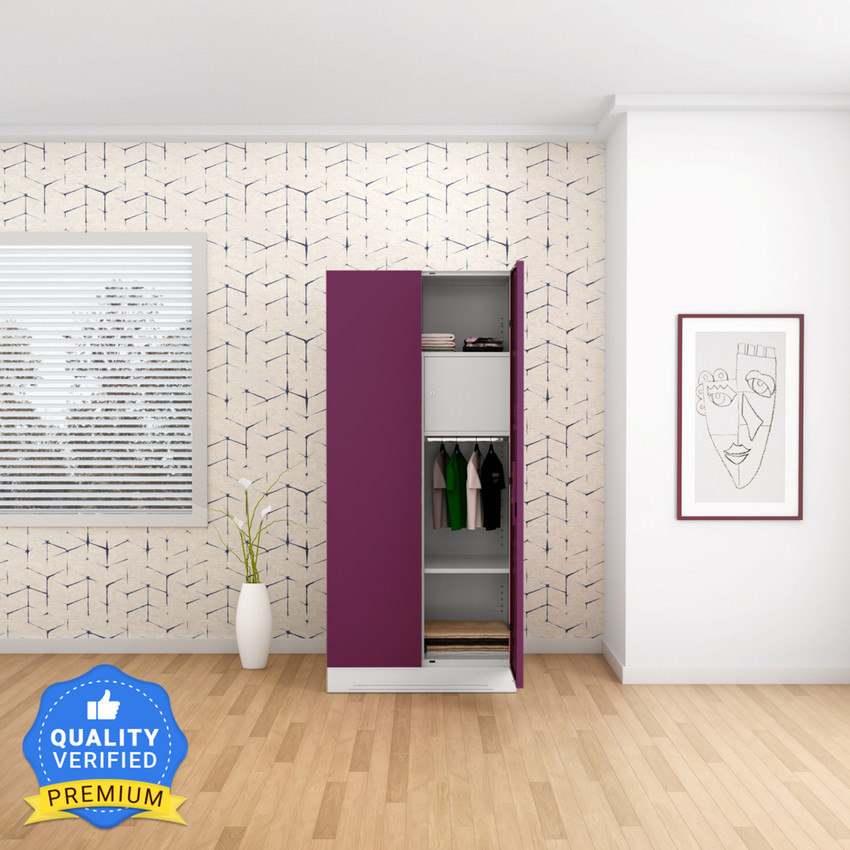 Godrej interio slimline 2 door steel almirah store