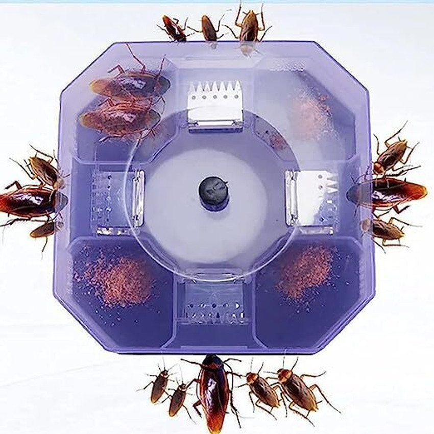 Sahaj Enterprise Catcher Cockroach Killer for Home Electric Insect Killer Indoor Outdoor Price in India Buy Sahaj Enterprise Catcher Cockroach Killer for Home Electric Insect Killer Indoor Outdoor onl...