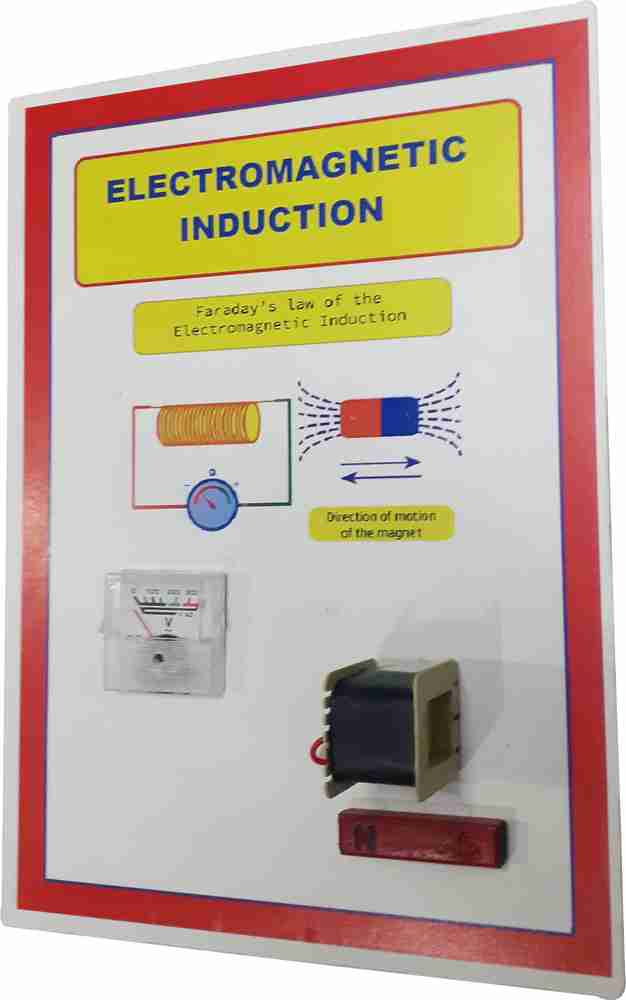 Electromagnetic Induction Experiment