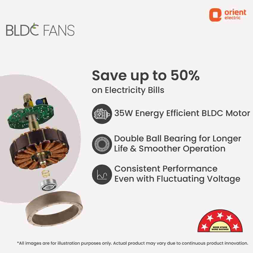 Brushless Dc Ceiling Fan Motor | Shelly Lighting