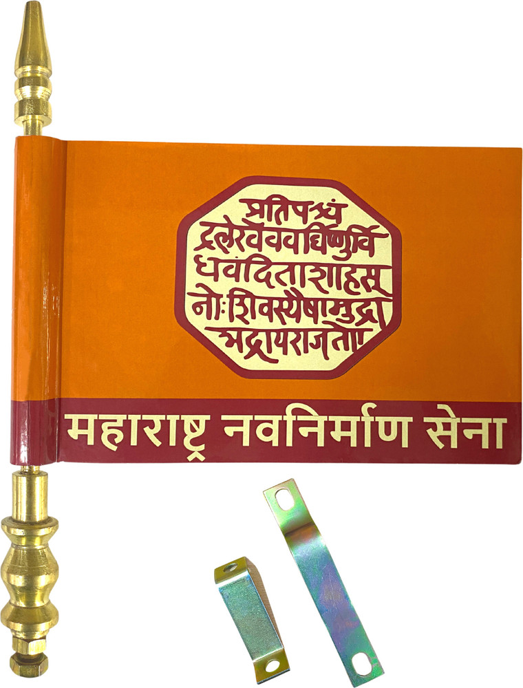 Mns Logo Flag