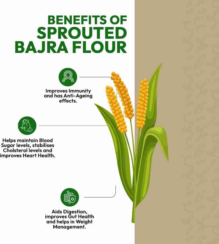 Bajra Crop Clipart