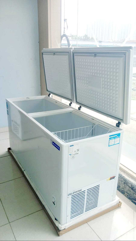 Blue star deep fridge 500 litre price store