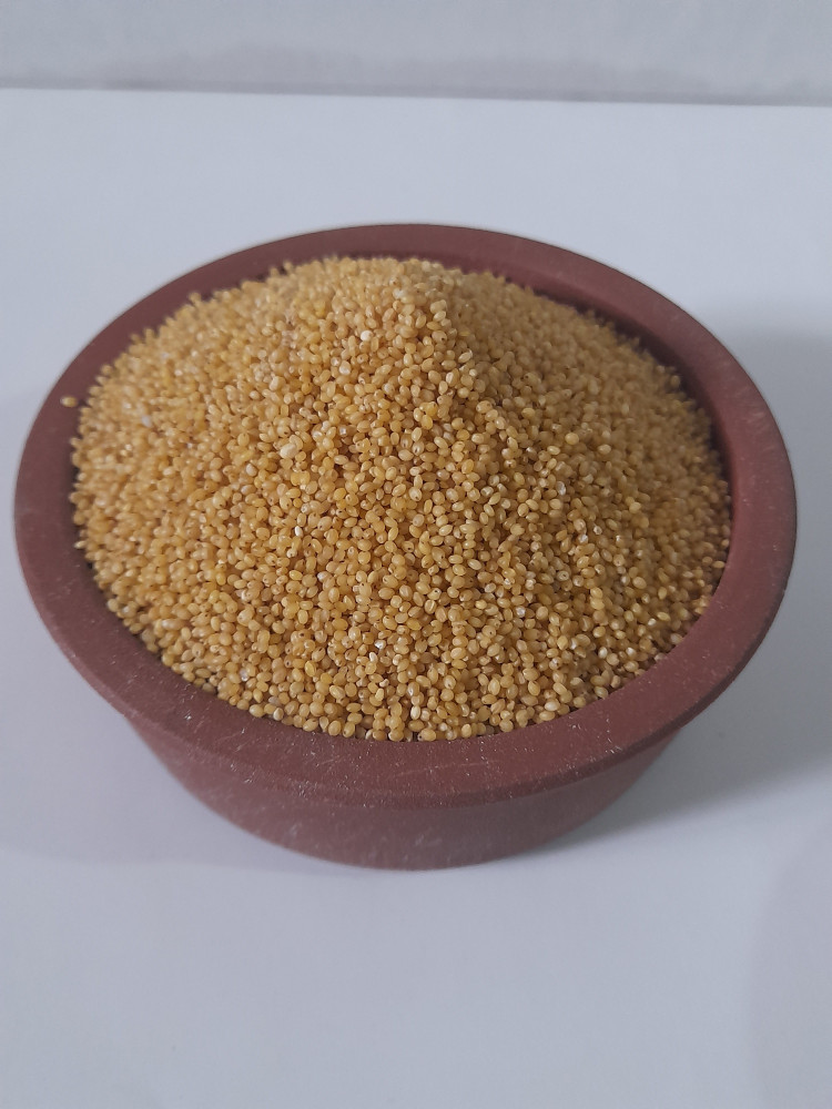 Thinai Grain