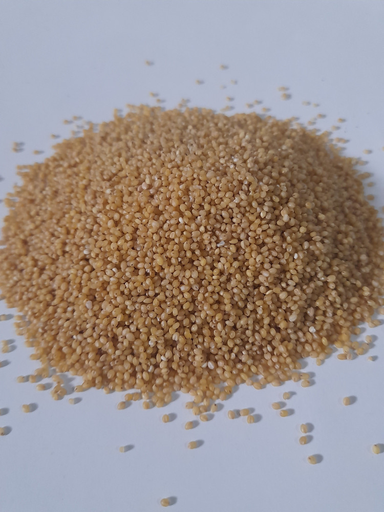 Thinai Grain