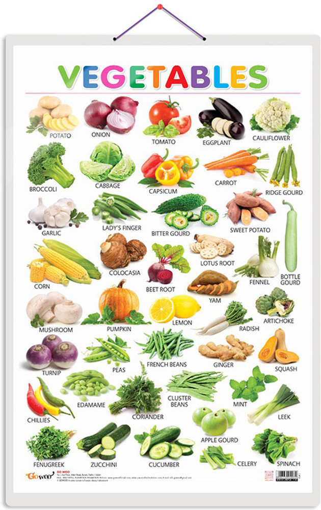 Fruits And Vegetables List For Kids LAMINATED Fruits & Vegetables