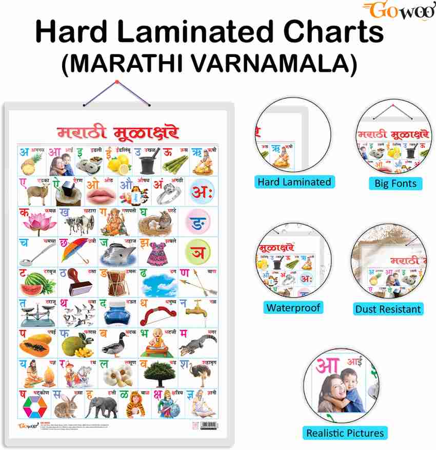 Flowers Name In Marathi Chart | Best Flower Site