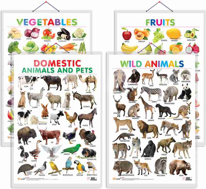Different Types Of Domestic Animals