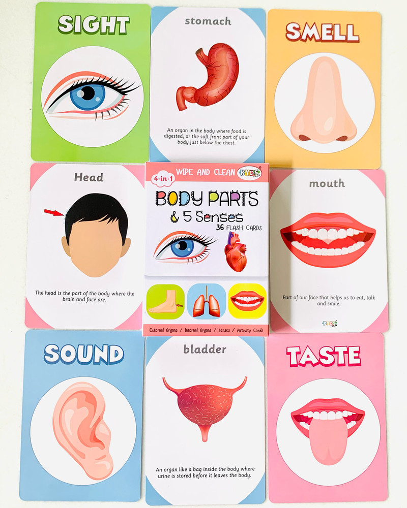 5 Senses Of The Body