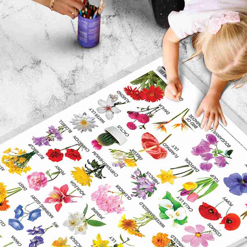 Nursery Chartsflowers Chart For Children Paper Print Price Flowers