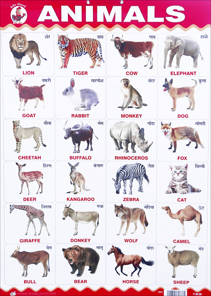 Hindi Animals Chart- Basic School Chart Print Of Domestic Animal In