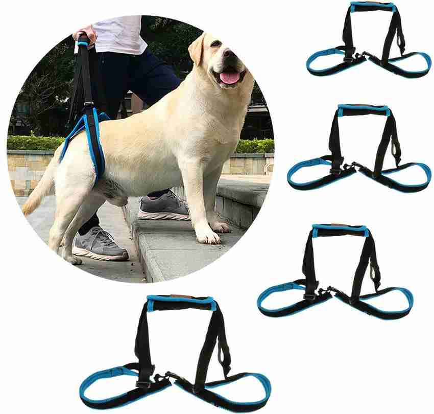 Xtra Dog Water-Repelling Walking Harness Xtra Dog: Soft,