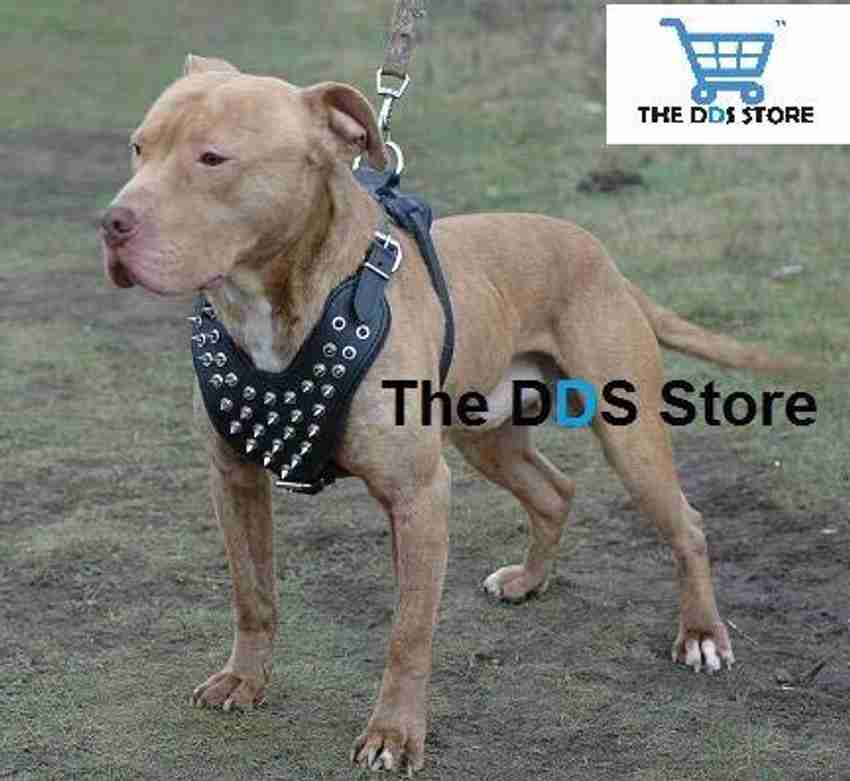 Spiked harness for dogs store