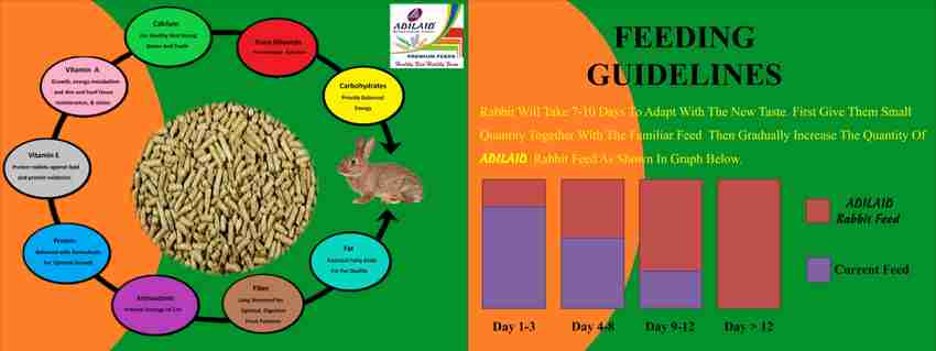 Rabbit Feeding Diagram