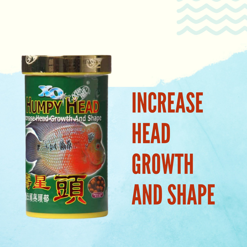 Flowerhorn Fish Food For Head Growth