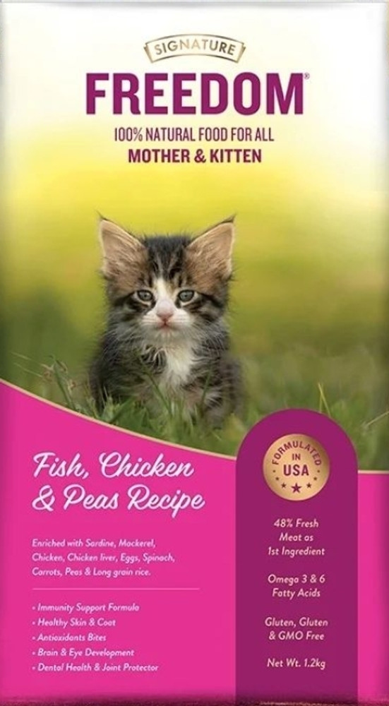 Freedom Cat Felix Is Hoping Everyone Is Keeping Cool In Melbourne