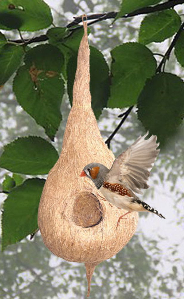 Hanging Bird Nest In Tree
