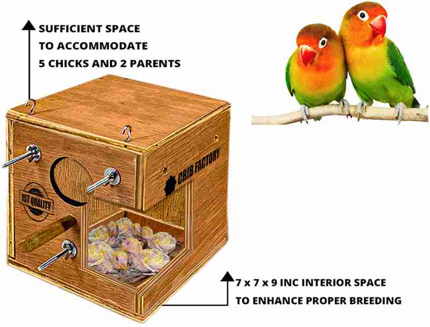 African Love Birds Cages