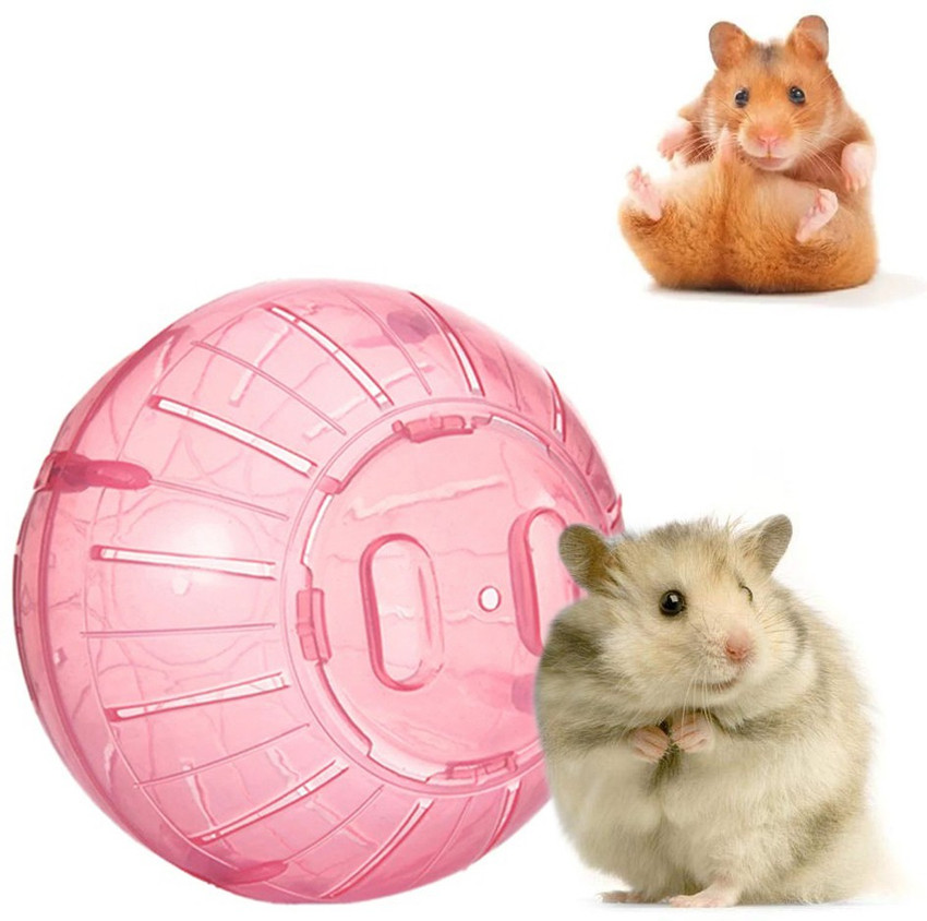 Dwarf Hamster Ball
