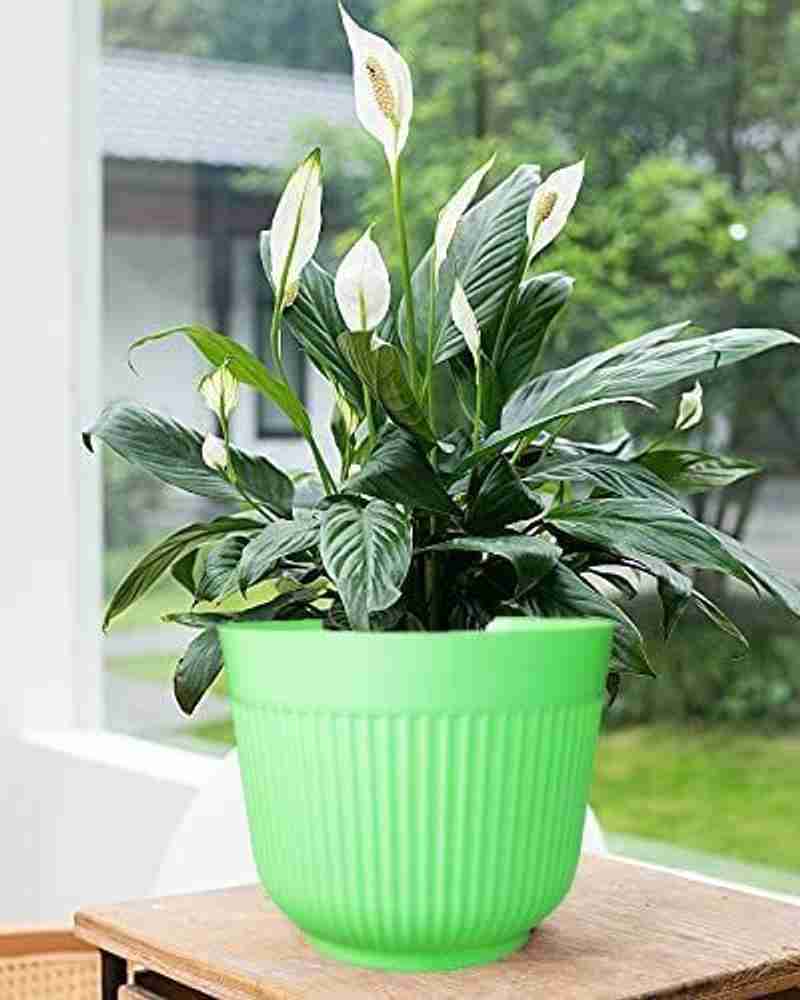 Plastic Flower Planters Amazon.com : 10 Inch Flower Pots Planters For