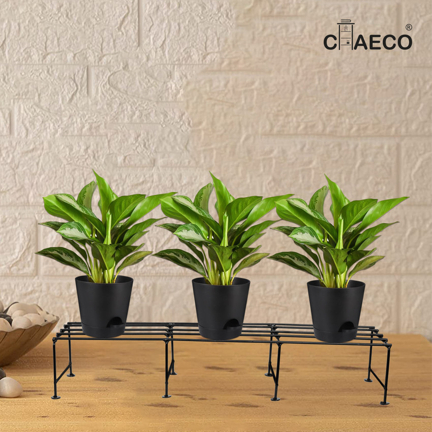 Rectangular Plant Stand