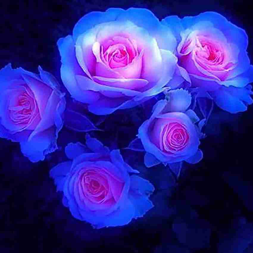 Pink Blue Flower 500,200+ Pink And Blue Flowers Stock Photos, Pictures