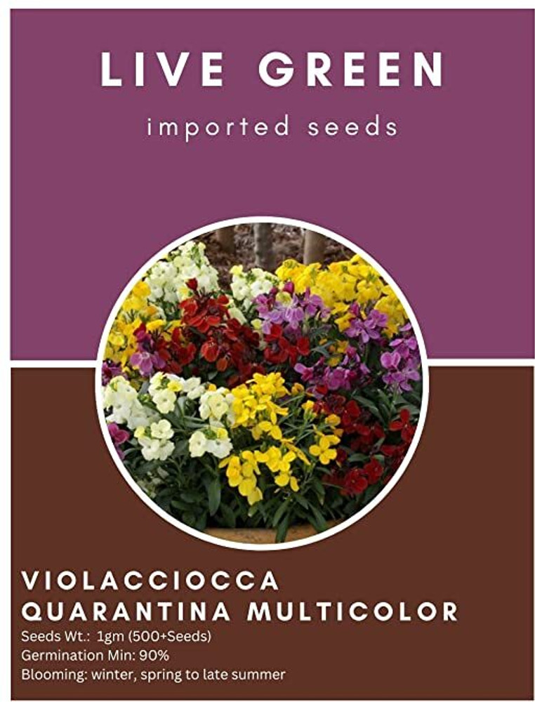 Imported Flower Seeds In India | Best Flower Site