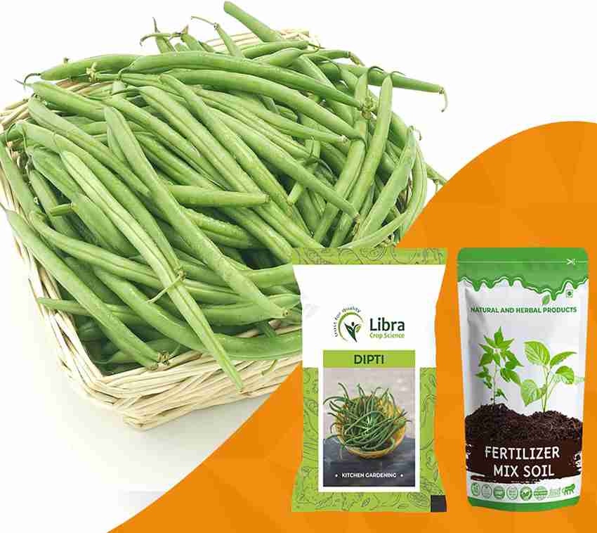 Cowpea Seeds