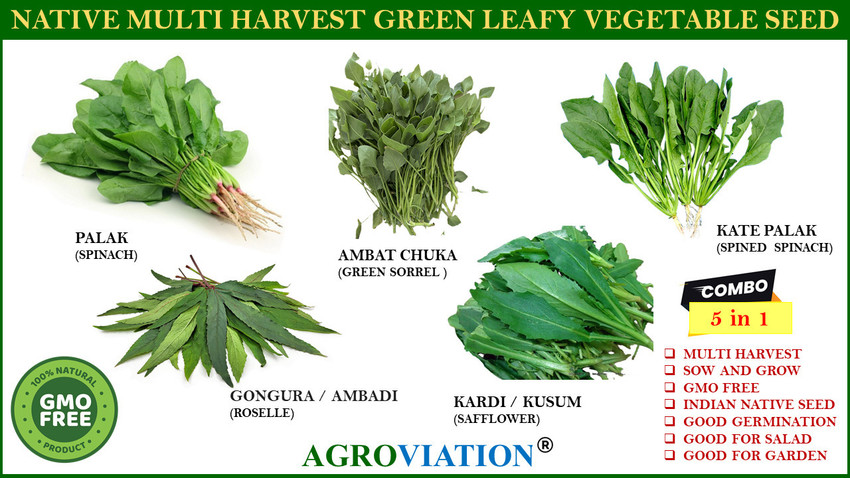 Green Leafy Vegetables Pictures And Names 8 Varieties Of Asian