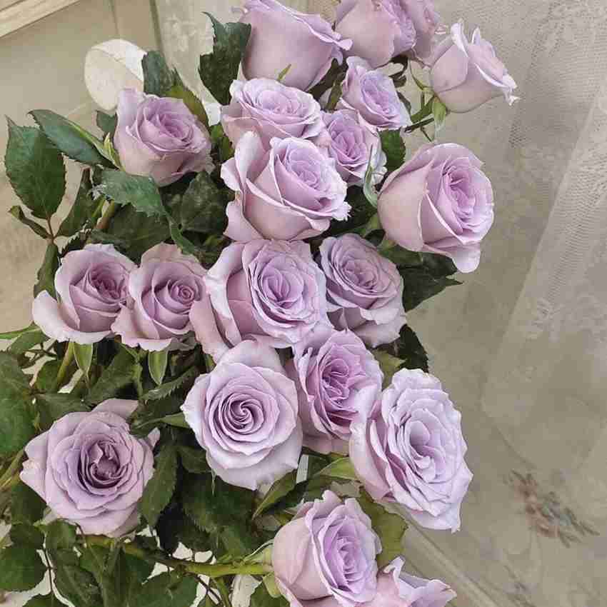 Ocean Song Rose Bouquet