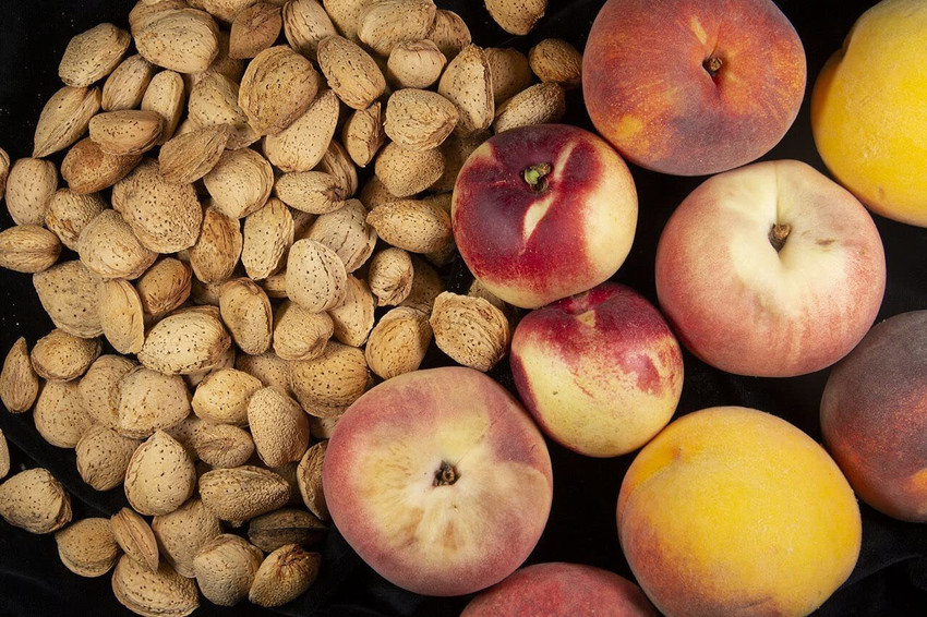 Aadu fruit store