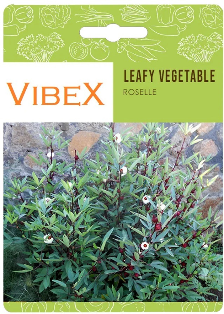 Roselle Seeds Rosella Seeds | Non GMO | Ideal For Jam & Herbal Teas
