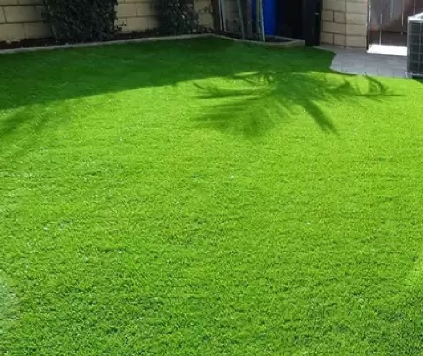 Grass loan store
